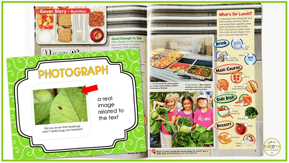 Teaching Nonfiction Text Features - Your Thrifty Co-Teacher