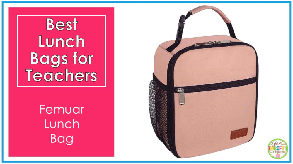 Top Teacher Lunch Box Picks - Your Thrifty Co-Teacher